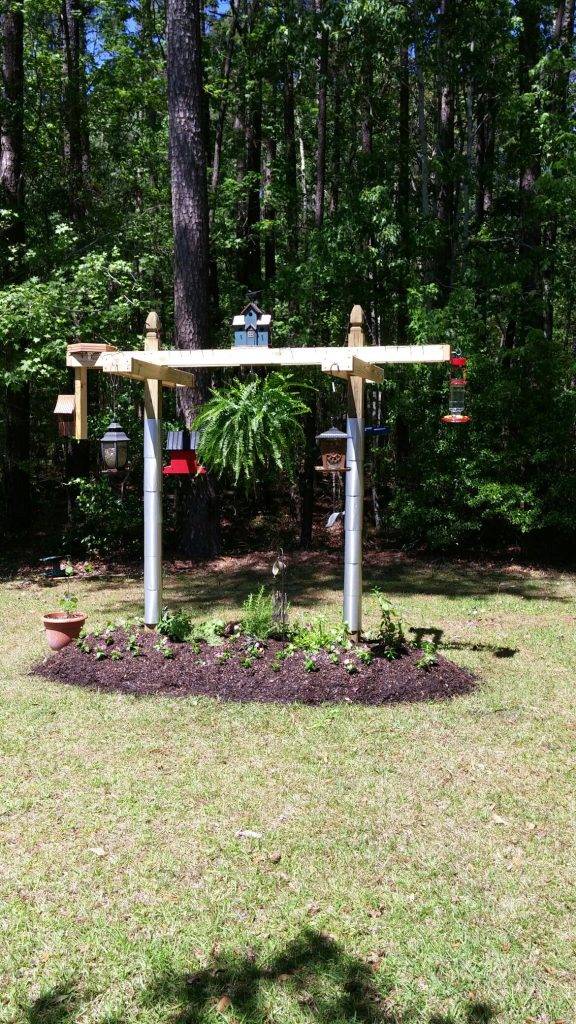 Bird Feeding Station Ideas: Effective Ways to Attract Birds