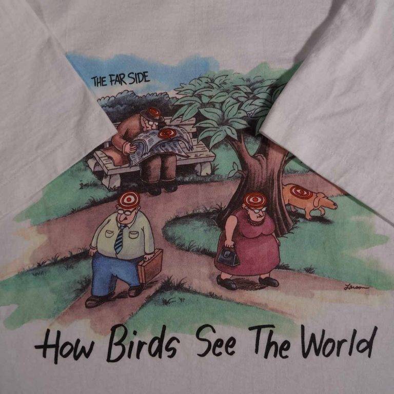 Far Side How Birds See the World
