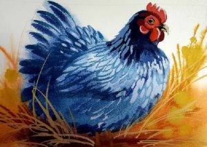 Wings Over Delaware: A Closer Look at the Blue Hen Chicken - The State ...