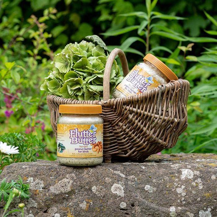 Flutter Butter: A Nutritious Delight for Garden Birds