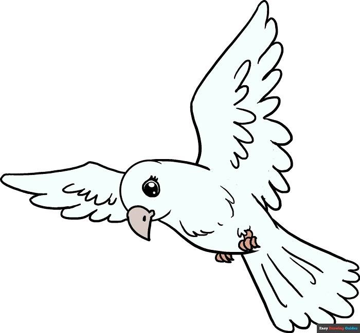 Mastering the Art: A Step-by-Step Guide on How to Draw a Bird with Ease