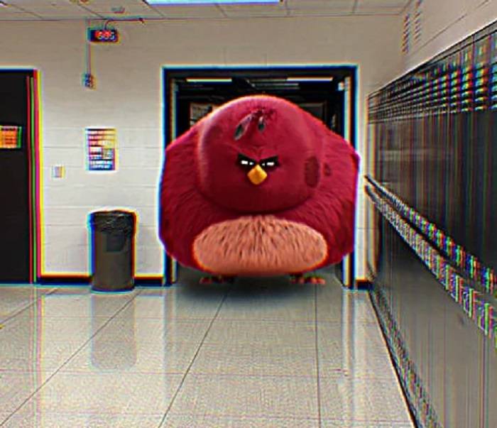 Birds That Rule the Skies: Size Matters