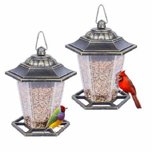 Kingsyard Bird Feeder: The Ultimate Choice for Backyard Bird Lovers