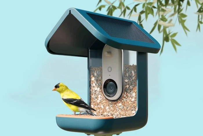 Bird Buddy Pole: The Perfect Mounting Solution for Smart Bird Feeders
